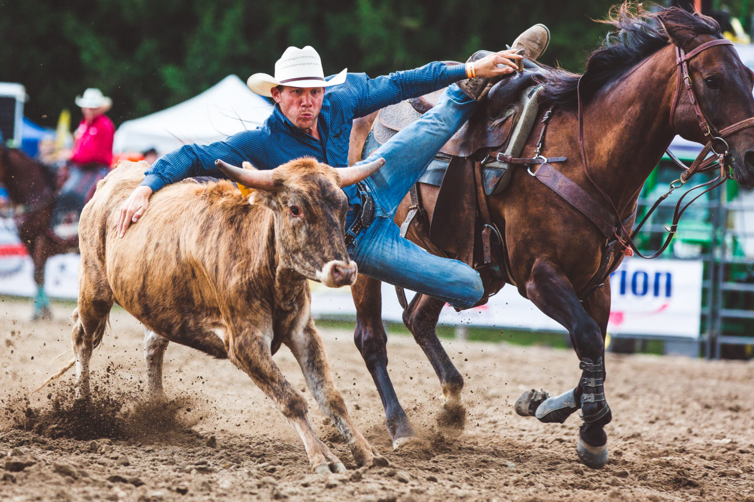 Standings | IPRA Canada